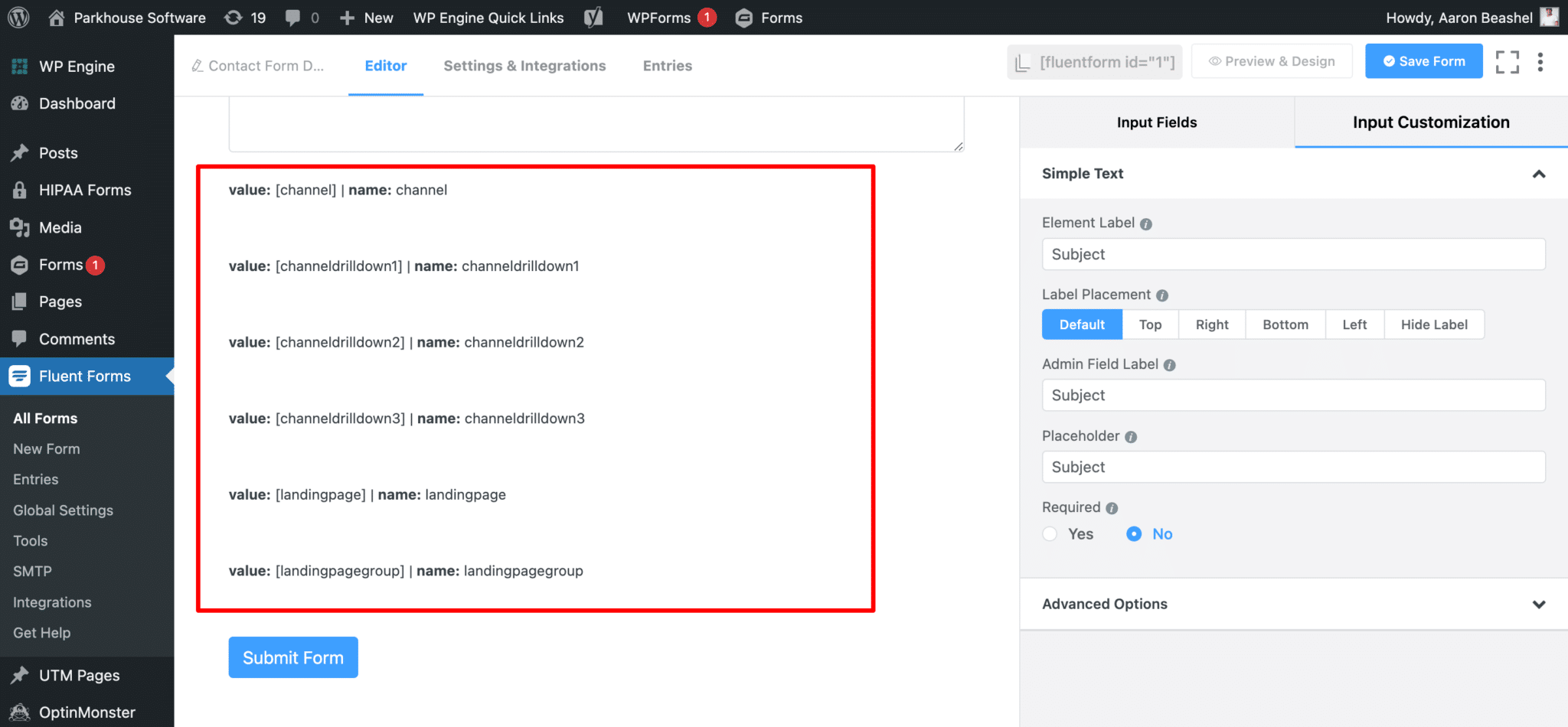 Add Hidden Fields To Fluent Forms Attributer 3980